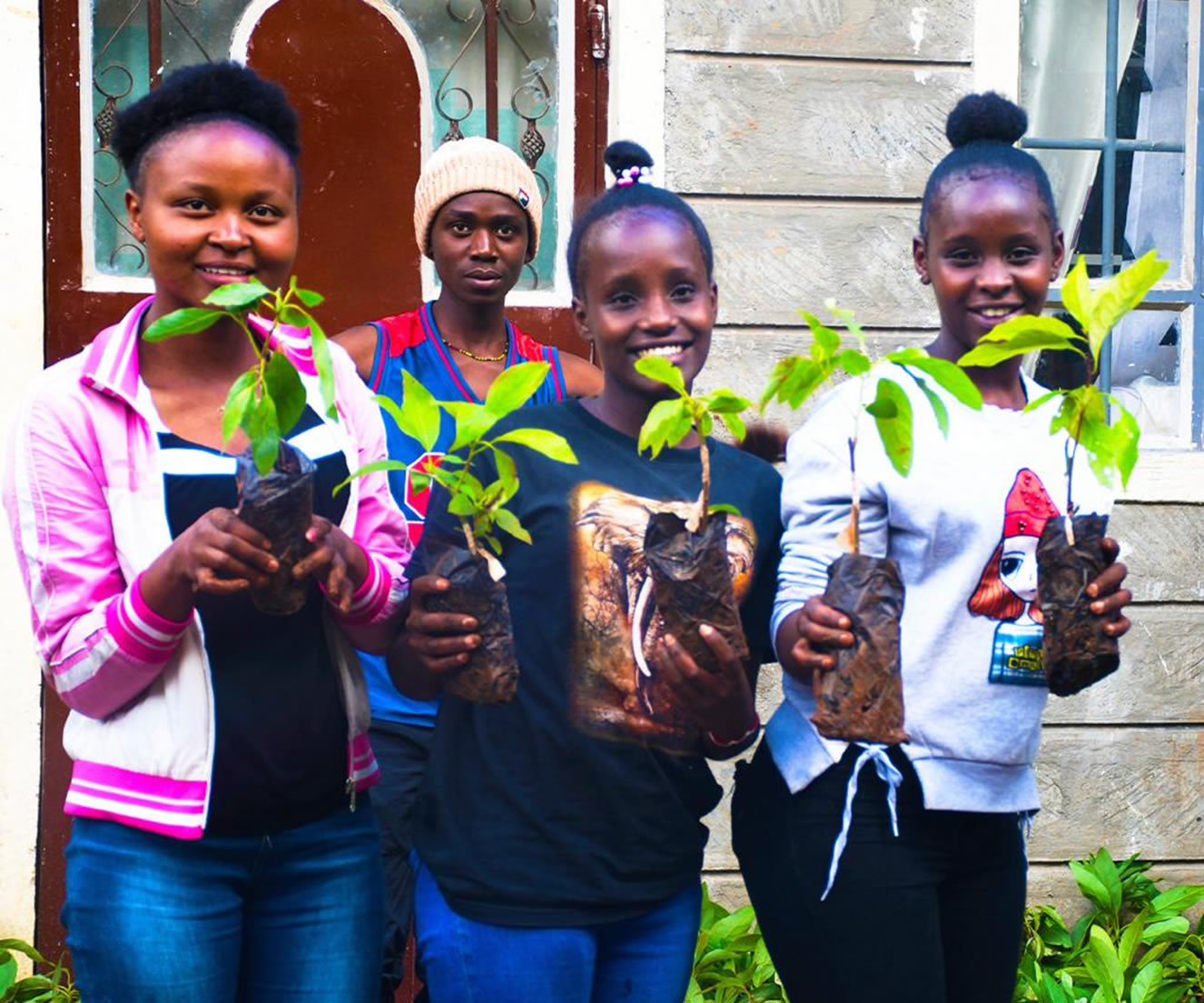 Gallery – 360 Climate Institutes